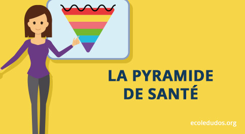 La pyramide de santé - École du dos